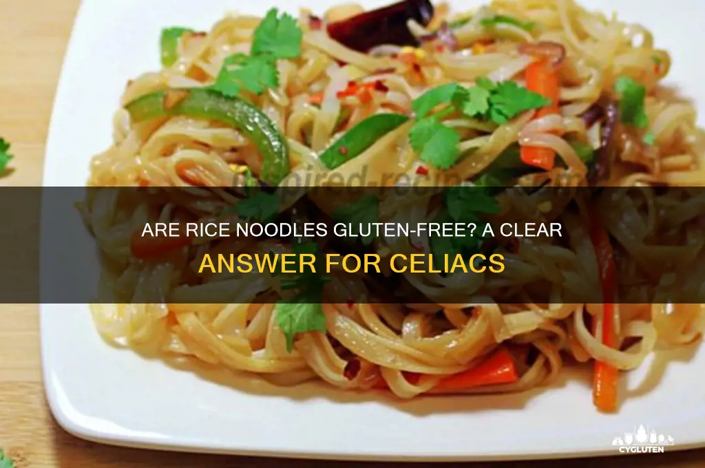 Are Rice Noodles Gluten-Free? A Clear Answer For Celiacs | CyGluten