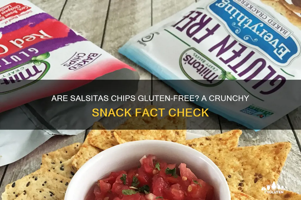 Are Salsitas Chips Gluten-Free? A Crunchy Snack Fact Check | CyGluten