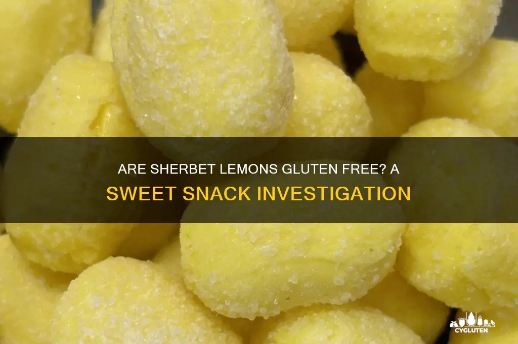 Are Sherbet Lemons Gluten Free? A Sweet Snack Investigation | CyGluten