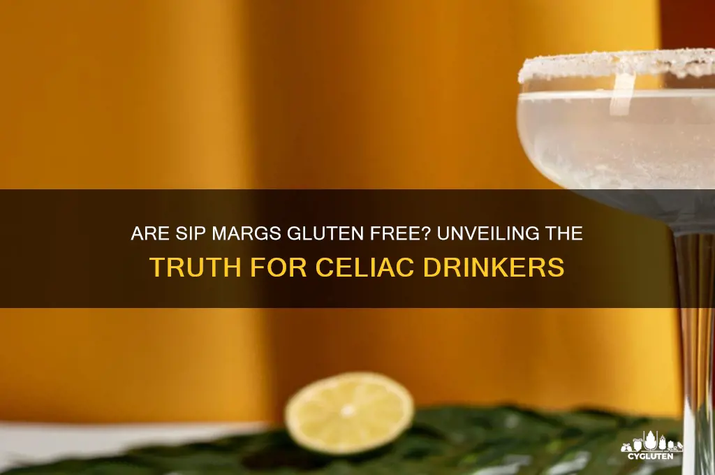 Are Sip Margs Gluten Free? Unveiling The Truth For Celiac Drinkers ...