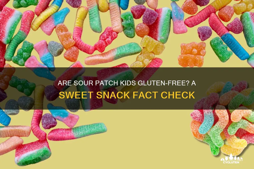 Are Sour Patch Kids Gluten-Free? A Sweet Snack Fact Check | CyGluten