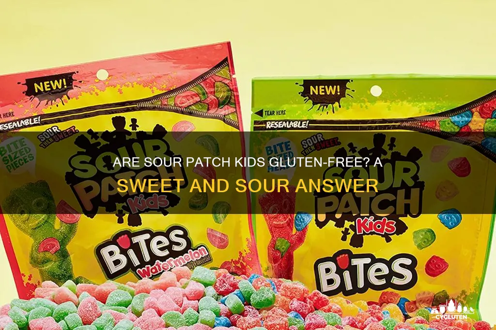 Are Sour Patch Kids Gluten-Free? A Sweet And Sour Answer | CyGluten