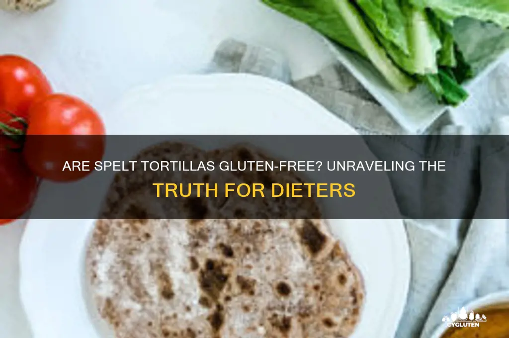 Are Spelt Tortillas Gluten-Free? Unraveling The Truth For Dieters ...