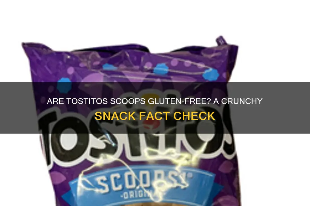 Are Tostitos Scoops Gluten-Free? A Crunchy Snack Fact Check | CyGluten