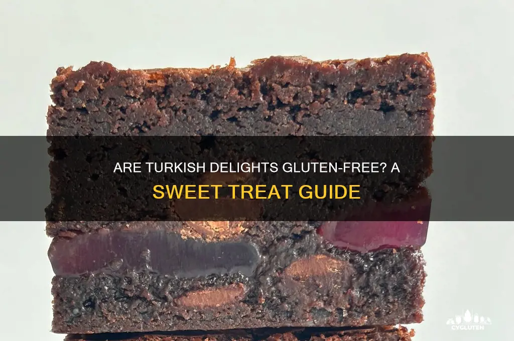 Are Turkish Delights Gluten-Free? A Sweet Treat Guide | CyGluten