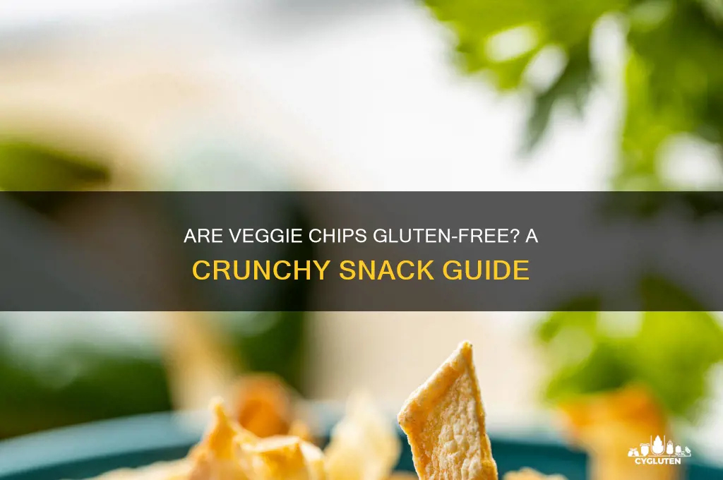 Are Veggie Chips Gluten-Free? A Crunchy Snack Guide | CyGluten