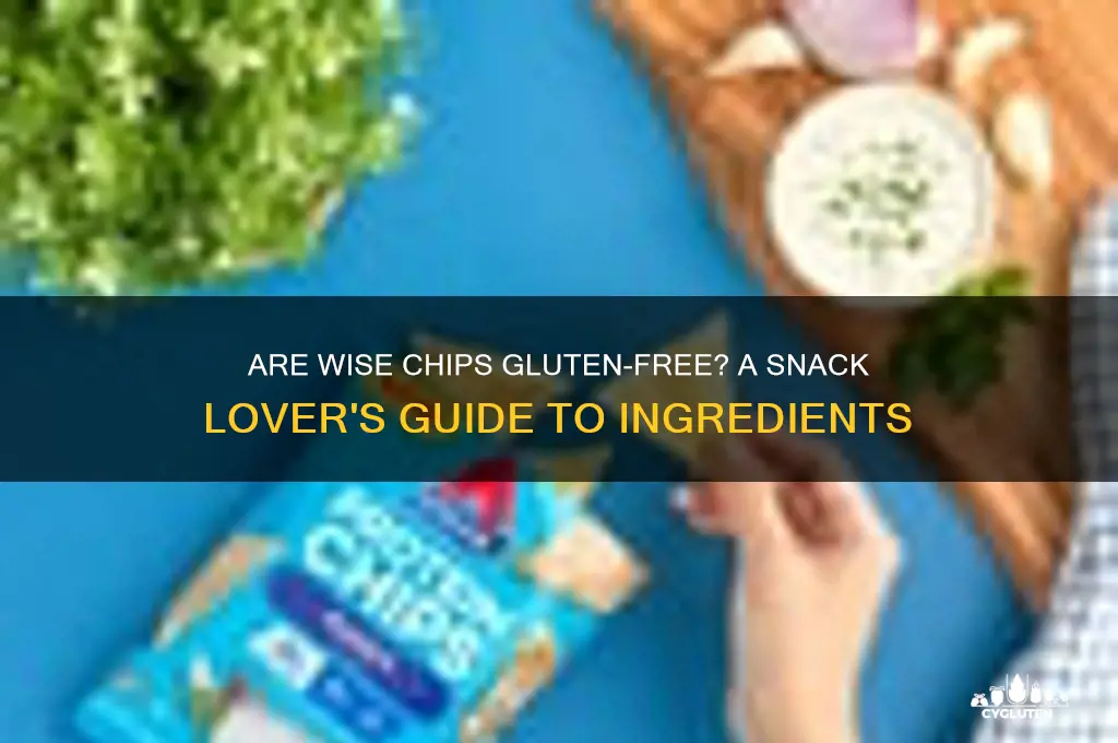 Are Wise Chips Gluten-Free? A Snack Lover's Guide To Ingredients | CyGluten