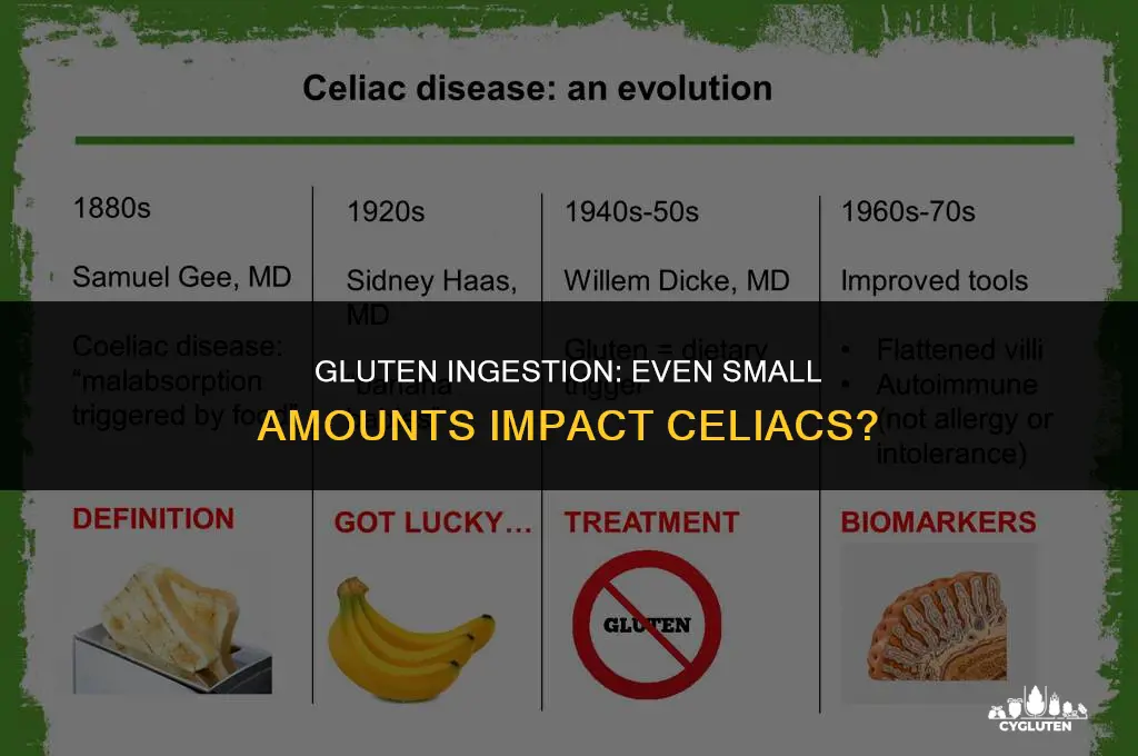 Gluten Ingestion: Even Small Amounts Impact Celiacs? | CyGluten