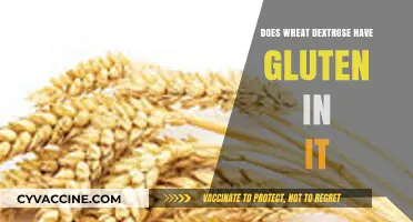 Exploring Subway's Menu: Are There Gluten-Free Options Available ...