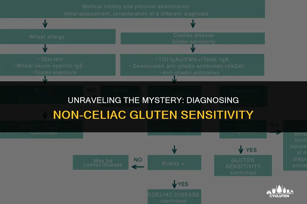 Unraveling The Mystery: Diagnosing Non-Celiac Gluten Sensitivity | CyGluten