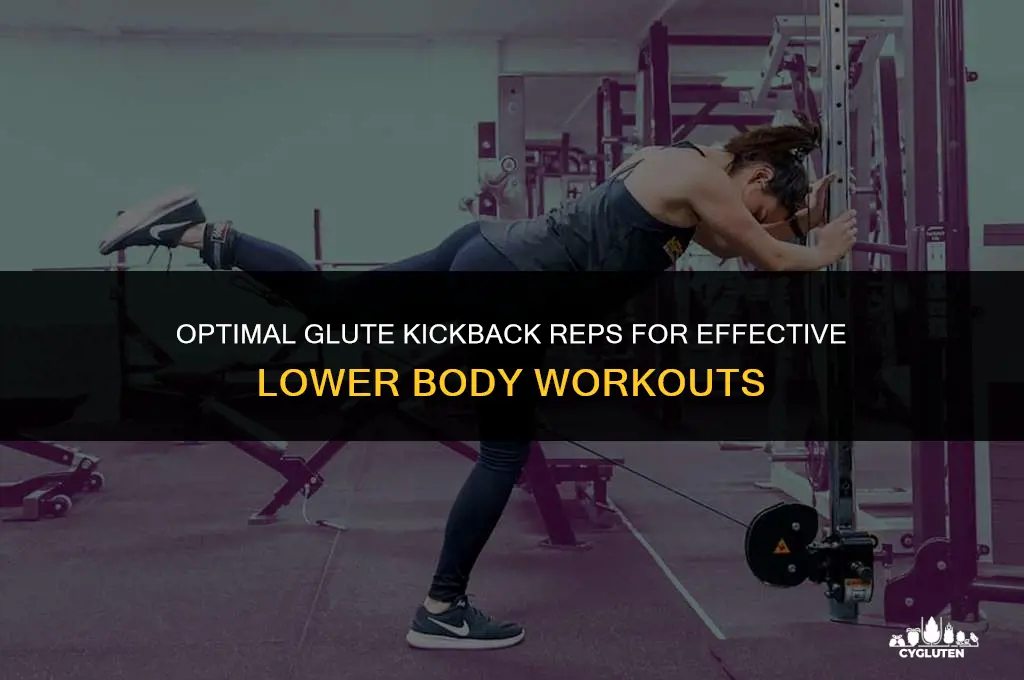 Optimal Glute Kickback Reps For Effective Lower Body Workouts | CyGluten