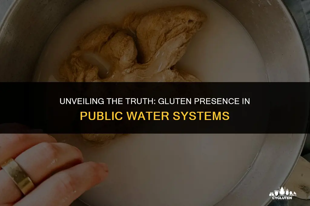 Unveiling The Truth: Gluten Presence In Public Water Systems | CyGluten
