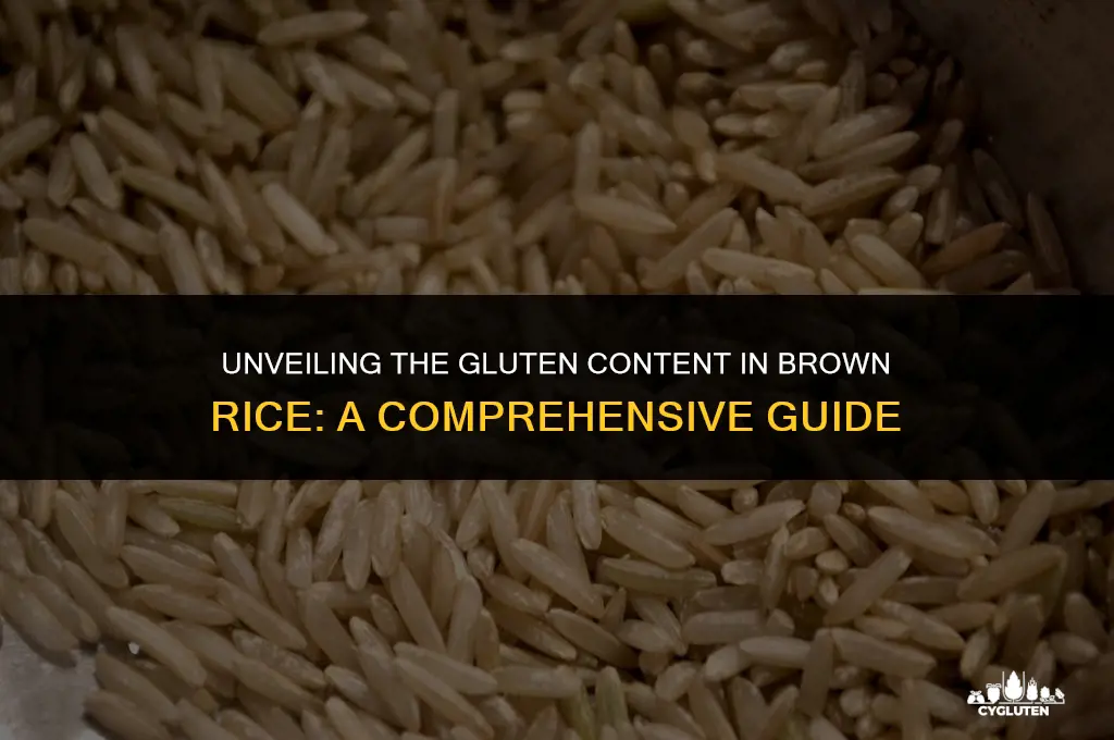 Unveiling The Gluten Content In Brown Rice: A Comprehensive Guide ...