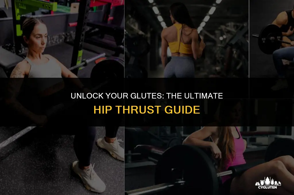Unlock Your Glutes: The Ultimate Hip Thrust Guide | CyGluten