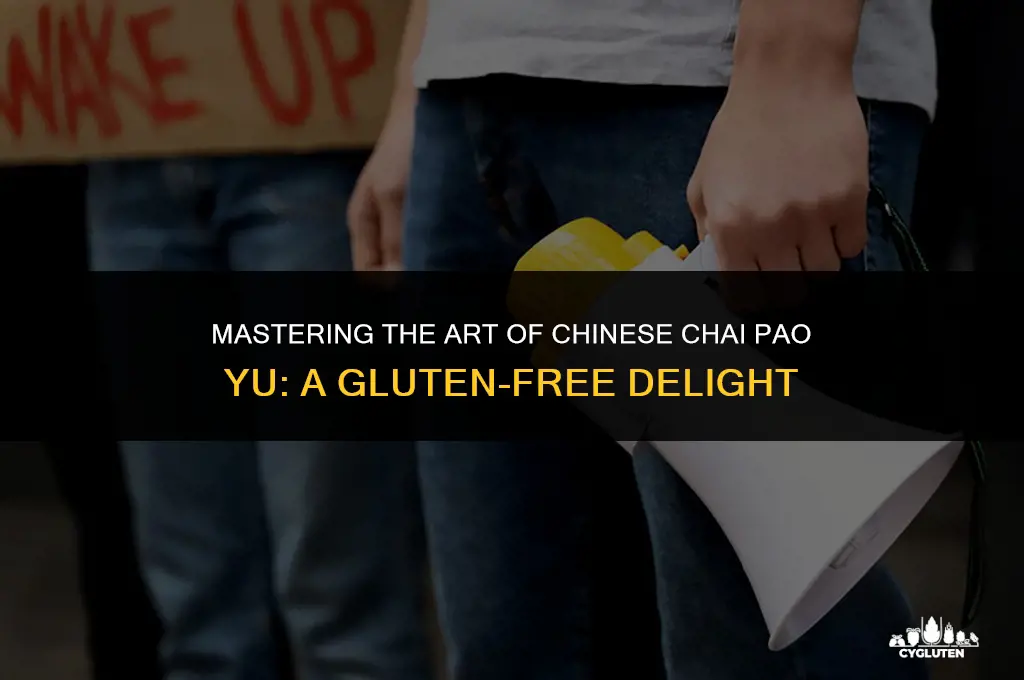Mastering The Art Of Chinese Chai Pao Yu: A Gluten-Free Delight | CyGluten