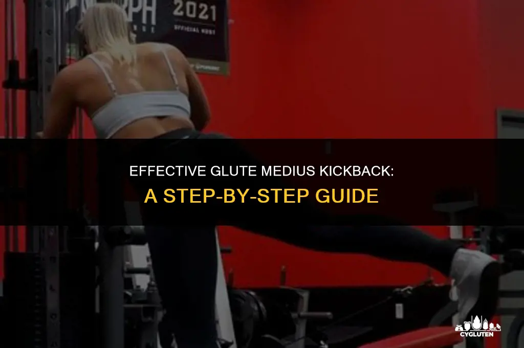 Effective Glute Medius Kickback: A Step-By-Step Guide | CyGluten