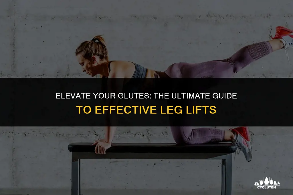 Elevate Your Glutes: The Ultimate Guide To Effective Leg Lifts | CyGluten