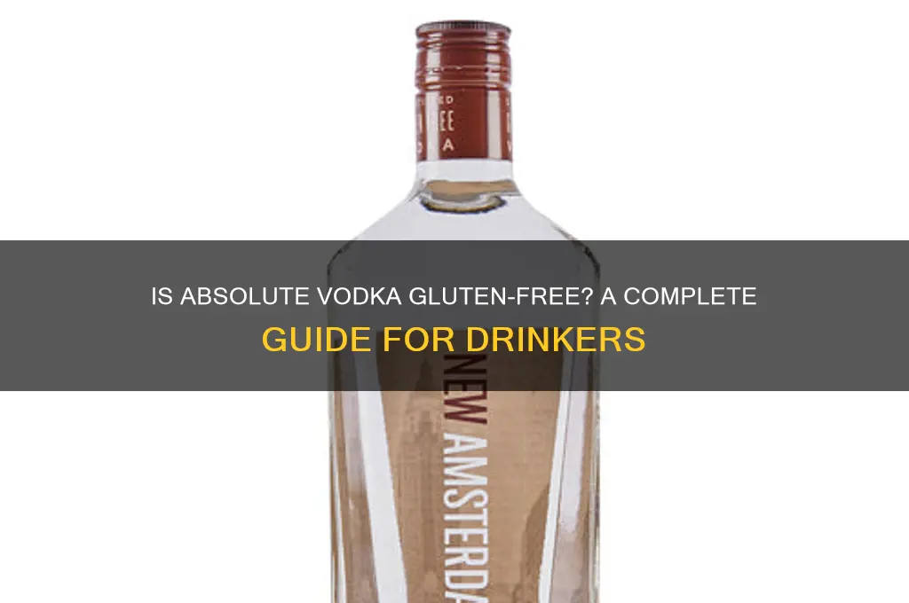 Is Absolute Vodka Gluten-Free? A Complete Guide For Drinkers | CyGluten