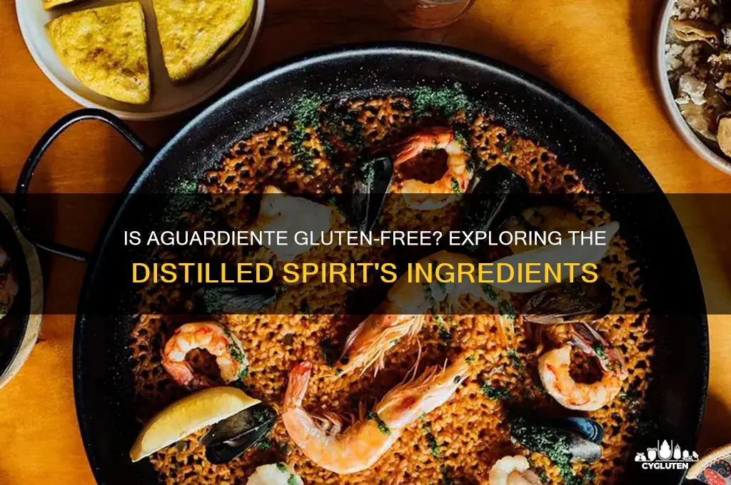 Is Aguardiente Gluten-Free? Exploring The Distilled Spirit's ...