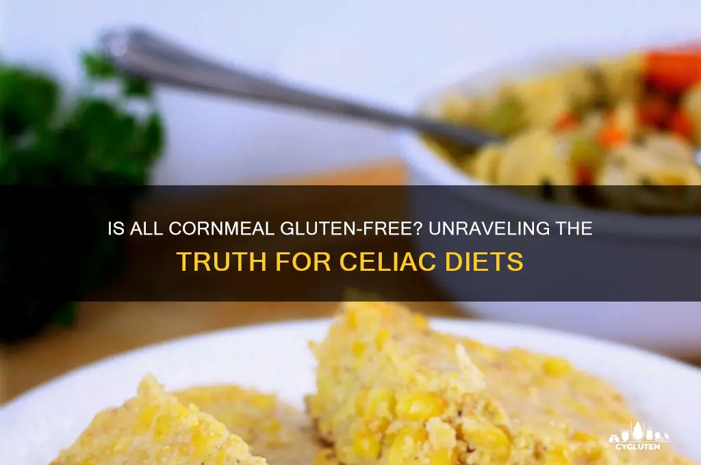 Is All Cornmeal Gluten-Free? Unraveling The Truth For Celiac Diets ...
