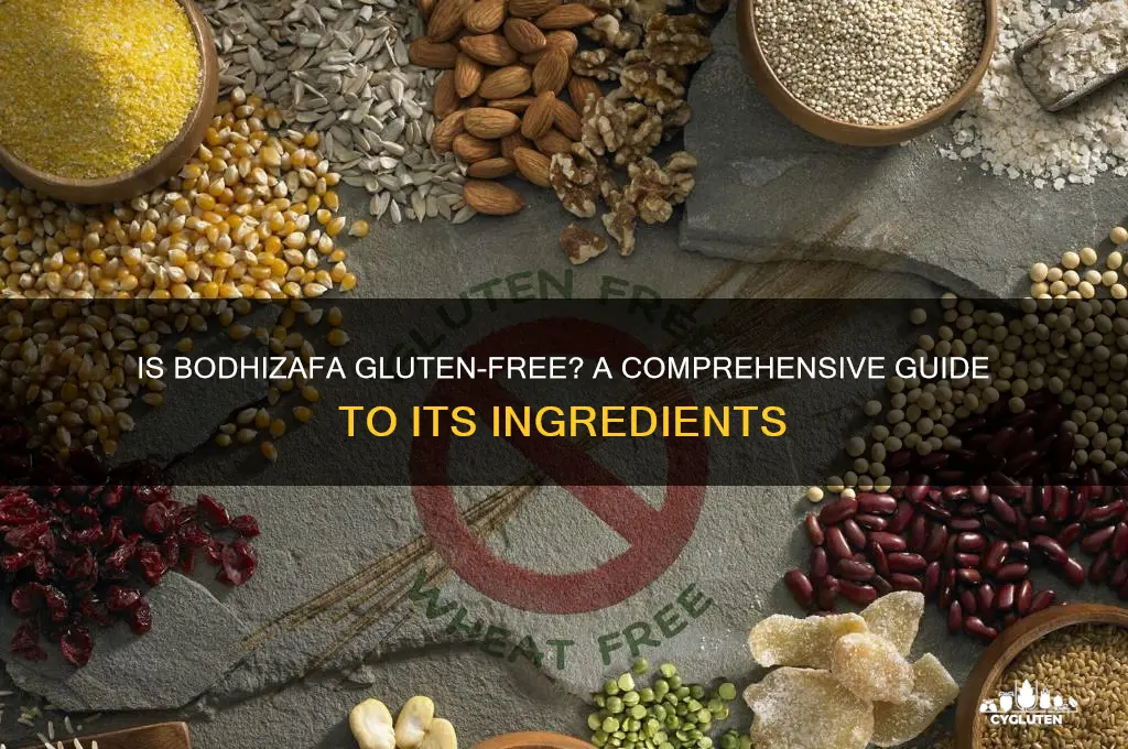 Is Bodhizafa Gluten-Free? A Comprehensive Guide To Its Ingredients ...