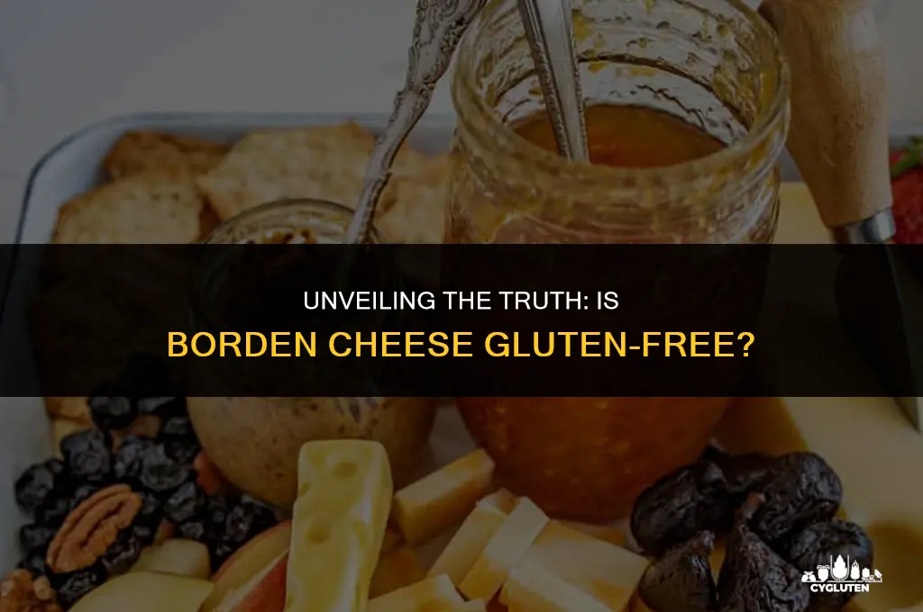 Unveiling The Truth: Is Borden Cheese Gluten-Free? | CyGluten
