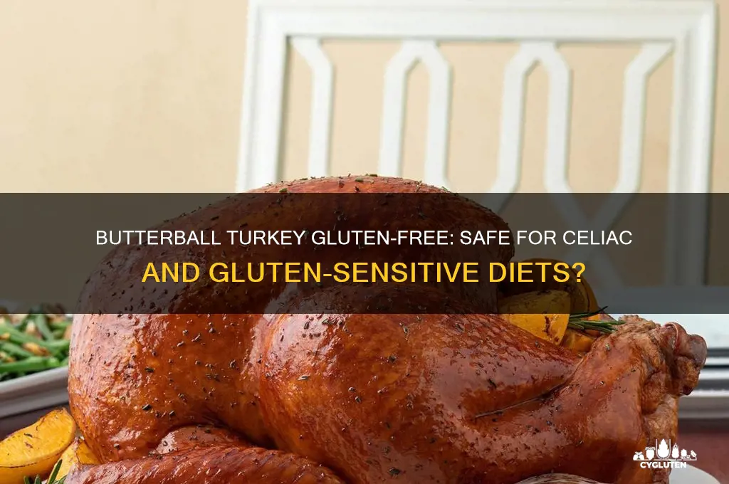 Butterball Turkey Gluten-Free: Safe For Celiac And Gluten-Sensitive ...