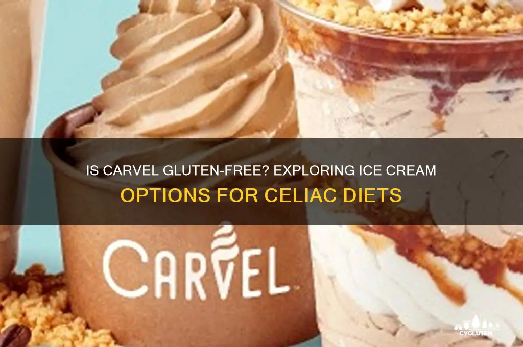 Is Carvel Gluten-Free? Exploring Ice Cream Options For Celiac Diets ...