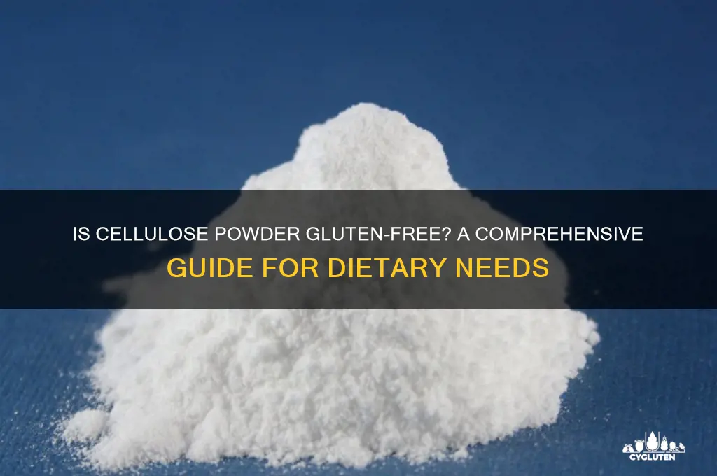 Is Cellulose Powder Gluten-Free? A Comprehensive Guide For Dietary ...