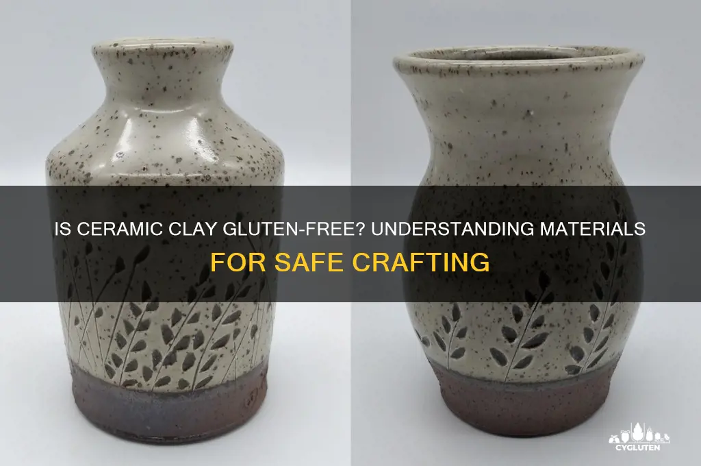 Is Ceramic Clay Gluten-Free? Understanding Materials For Safe Crafting ...