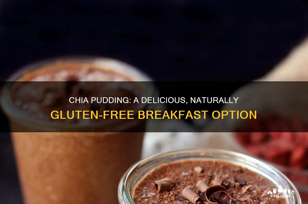 Chia Pudding: A Delicious, Naturally Gluten-Free Breakfast Option ...