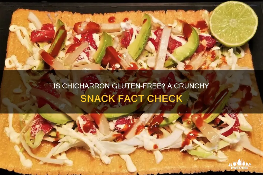 Is Chicharron Gluten-Free? A Crunchy Snack Fact Check | CyGluten