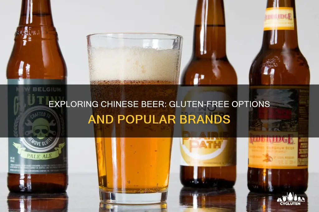 Exploring Chinese Beer: Gluten-Free Options And Popular Brands | CyGluten
