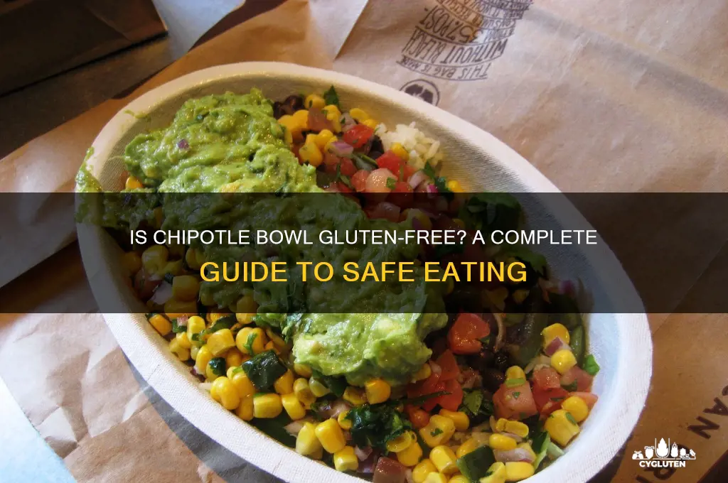 Is Chipotle Bowl Gluten-Free? A Complete Guide To Safe Eating | CyGluten