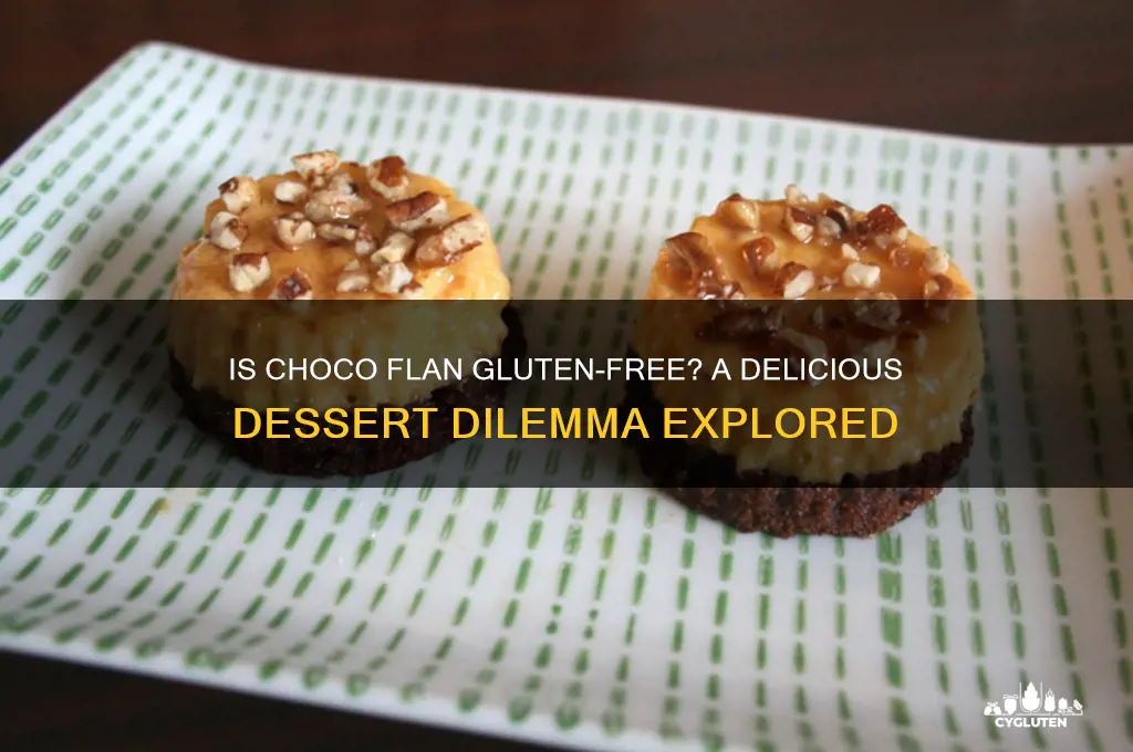 Is Choco Flan Gluten-Free? A Delicious Dessert Dilemma Explored | CyGluten