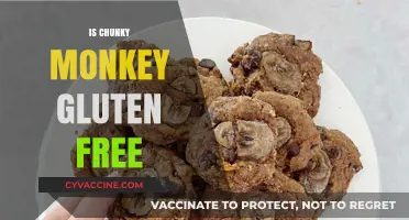 Is Chunky Monkey Ice Cream Gluten-Free? A Complete Guide | CyGluten