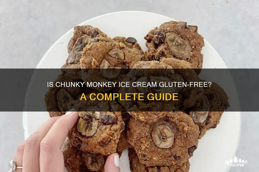 Is Chunky Monkey Ice Cream Gluten-Free? A Complete Guide | CyGluten
