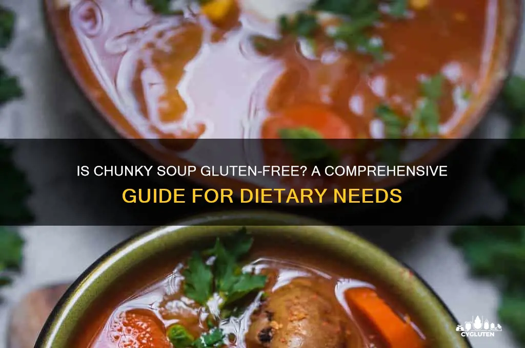 Is Chunky Soup Gluten-Free? A Comprehensive Guide For Dietary Needs ...