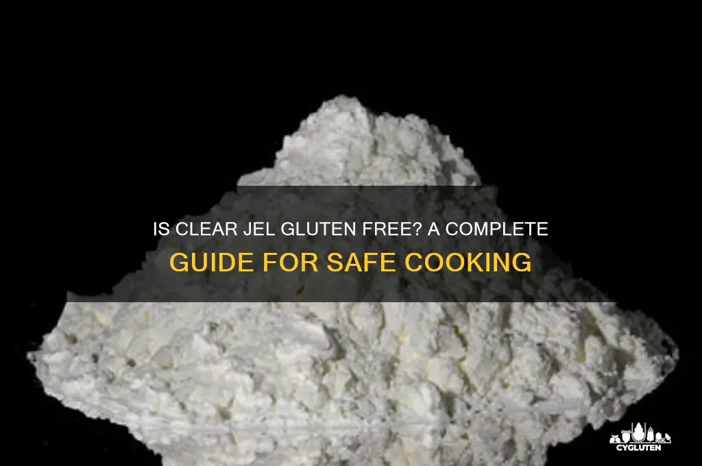 Is Clear Jel Gluten Free? A Complete Guide For Safe Cooking | CyGluten