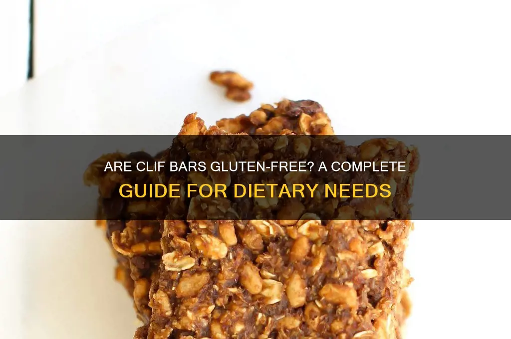 Are Clif Bars Gluten-Free? A Complete Guide For Dietary Needs | CyGluten