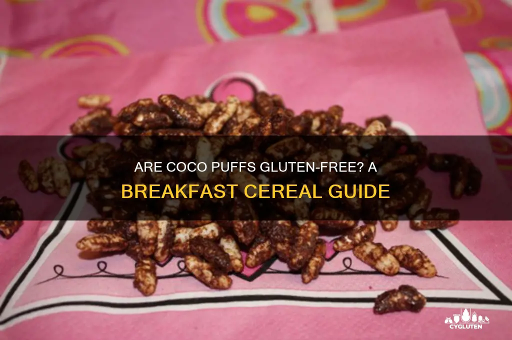 Are Coco Puffs Gluten-Free? A Breakfast Cereal Guide | CyGluten