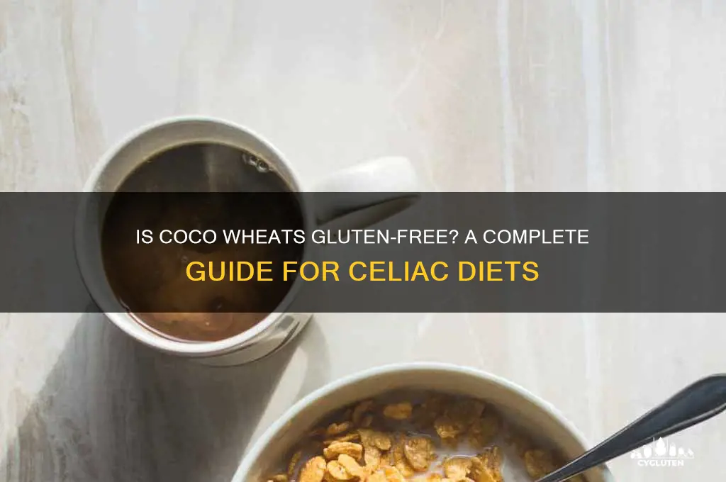 Is Coco Wheats Gluten-Free? A Complete Guide For Celiac Diets | CyGluten