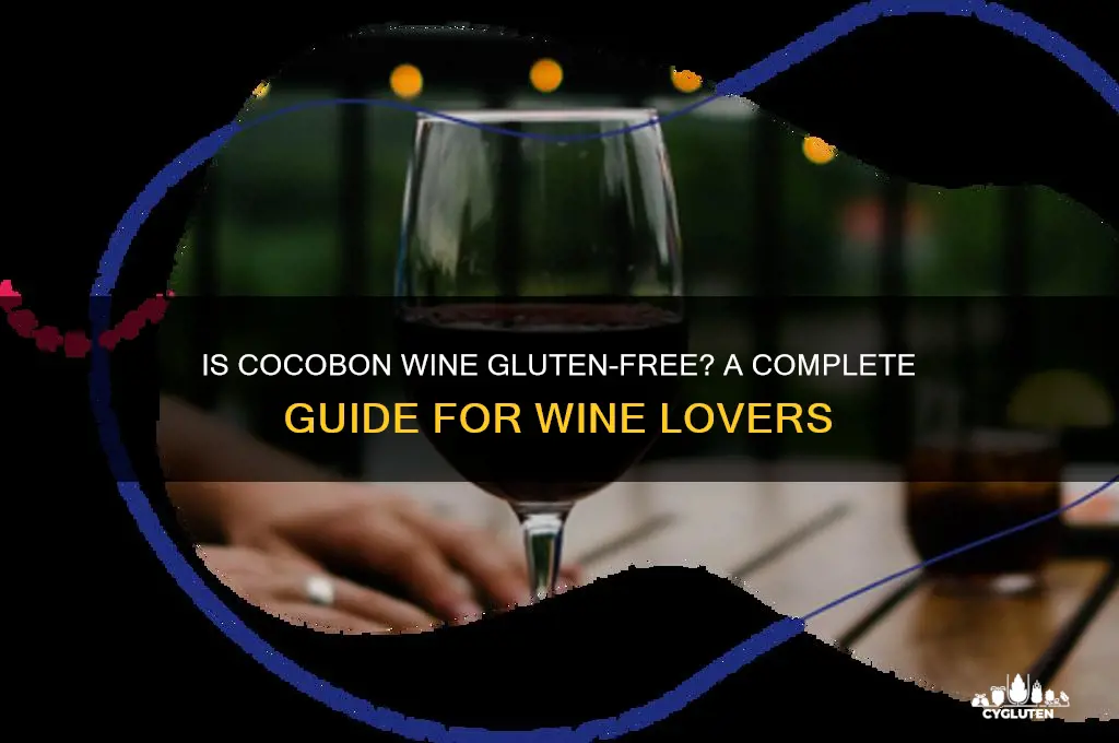 Is Cocobon Wine Gluten-Free? A Complete Guide For Wine Lovers | CyGluten