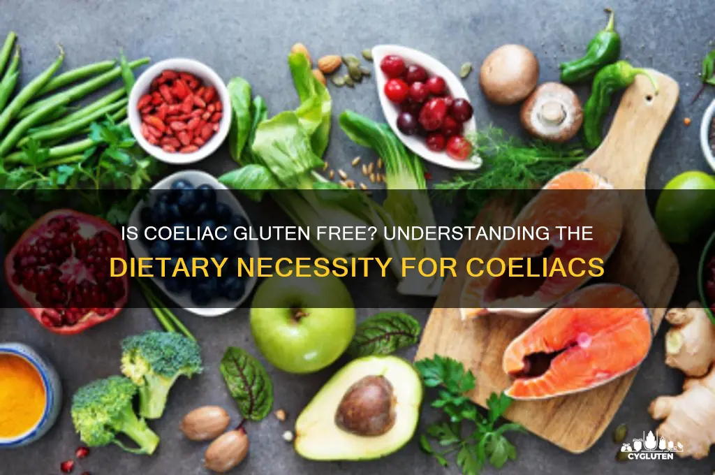 Is Coeliac Gluten Free? Understanding The Dietary Necessity For ...