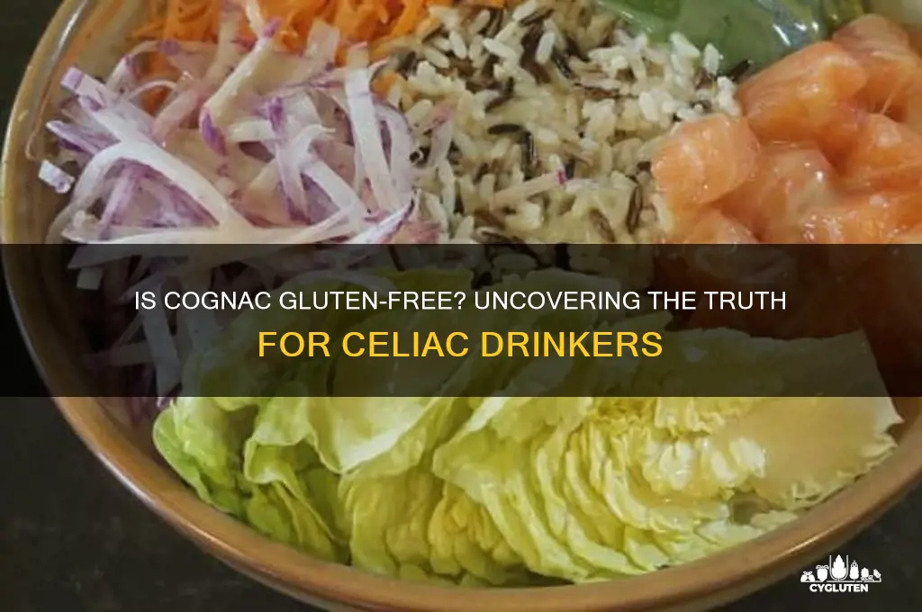 Is Cognac Gluten-Free? Uncovering The Truth For Celiac Drinkers | CyGluten