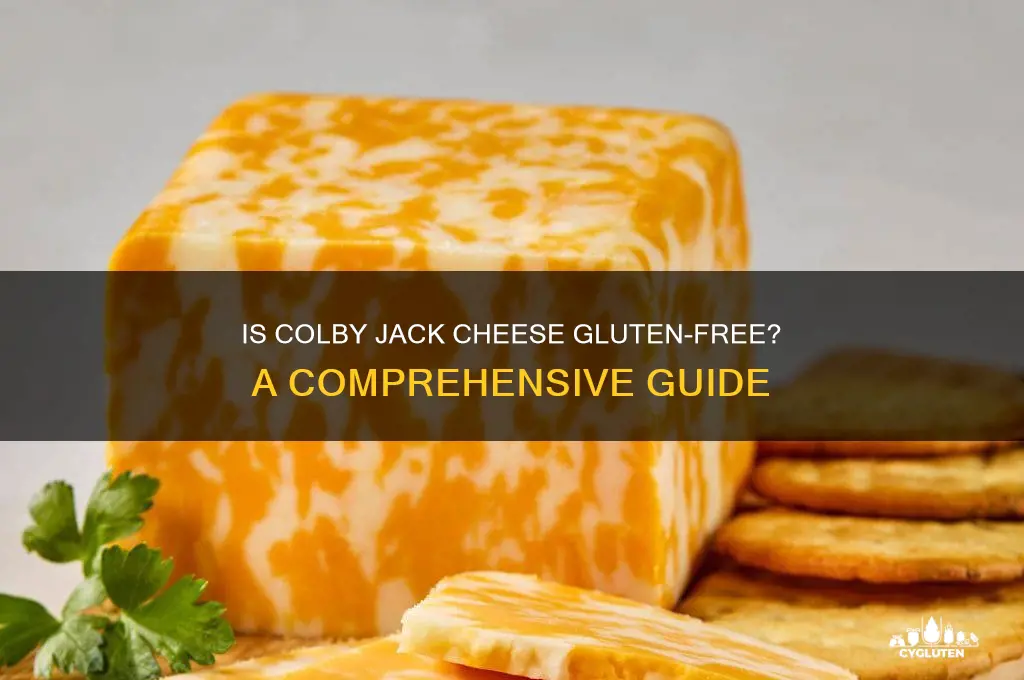 Is Colby Jack Cheese Gluten-Free? A Comprehensive Guide | CyGluten