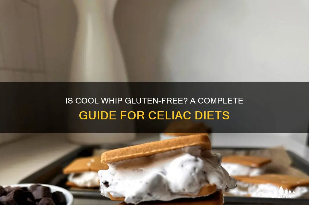 Is Cool Whip Gluten-Free? A Complete Guide For Celiac Diets | CyGluten