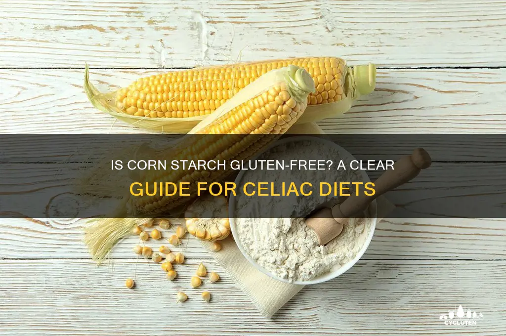 Is Corn Starch Gluten-Free? A Clear Guide For Celiac Diets | CyGluten
