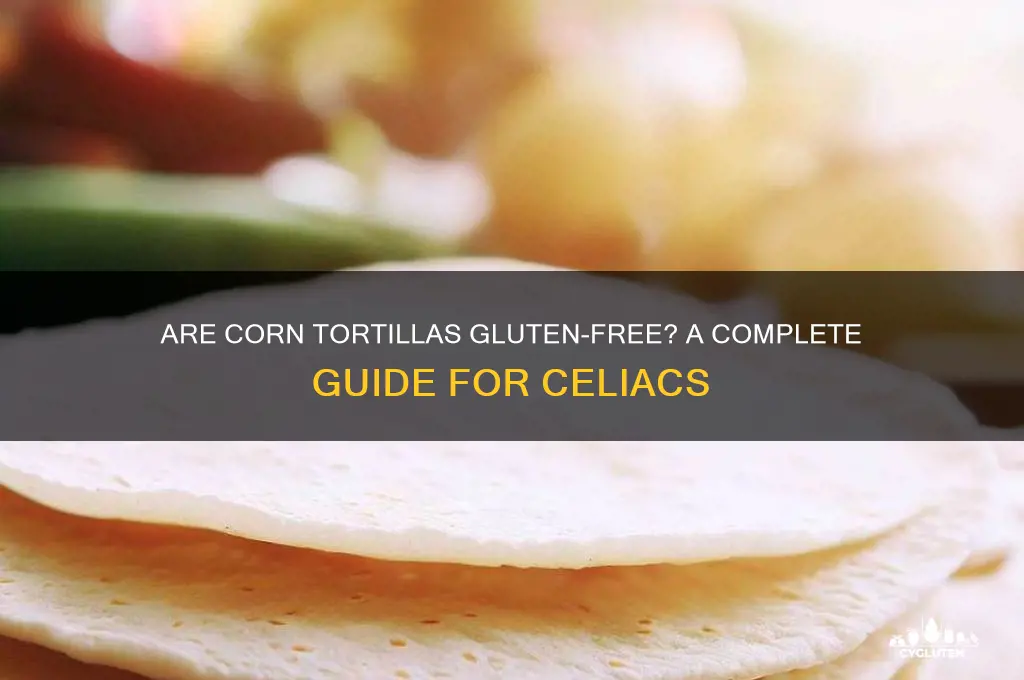 Are Corn Tortillas Gluten-Free? A Complete Guide For Celiacs | CyGluten