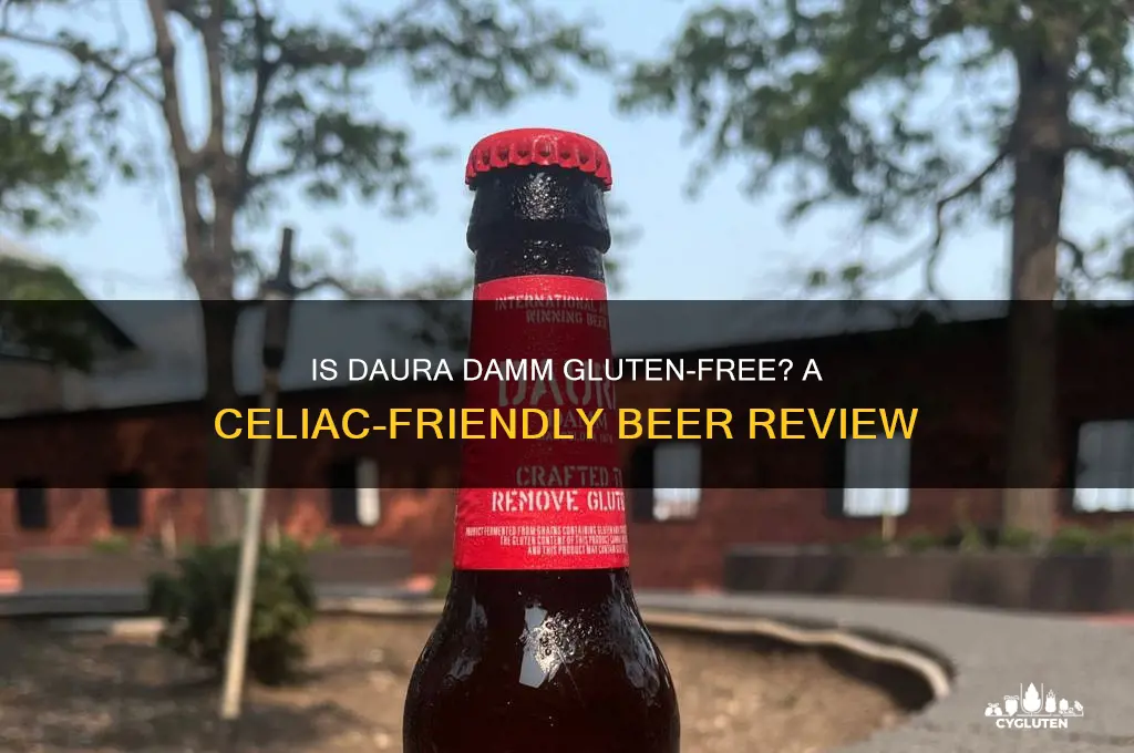 Is Daura Damm Gluten-Free? A Celiac-Friendly Beer Review | CyGluten